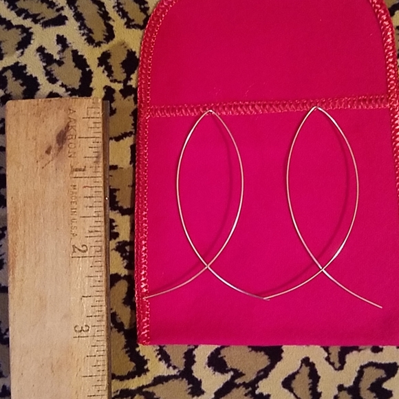 Willow | Jewelry | Thin Open Loop Earrings In Goldnew | Poshmark